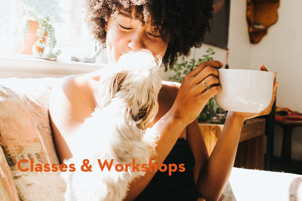 Welcome! - Mind Oasis