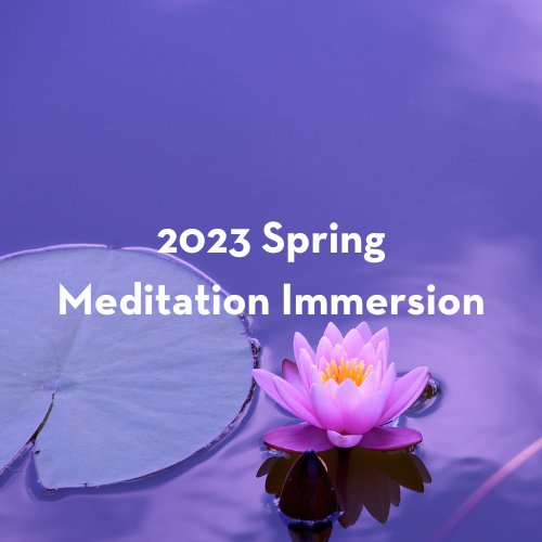2023 Spring Meditation Immersion - Mind Oasis